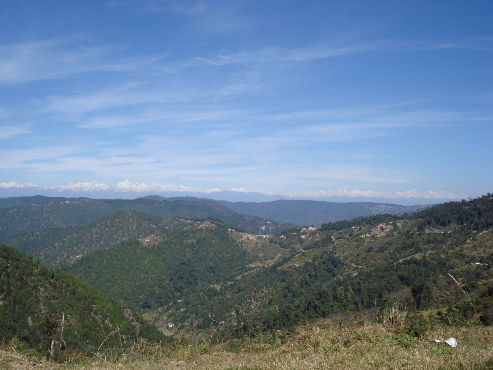 Binsar: Binsar Weather