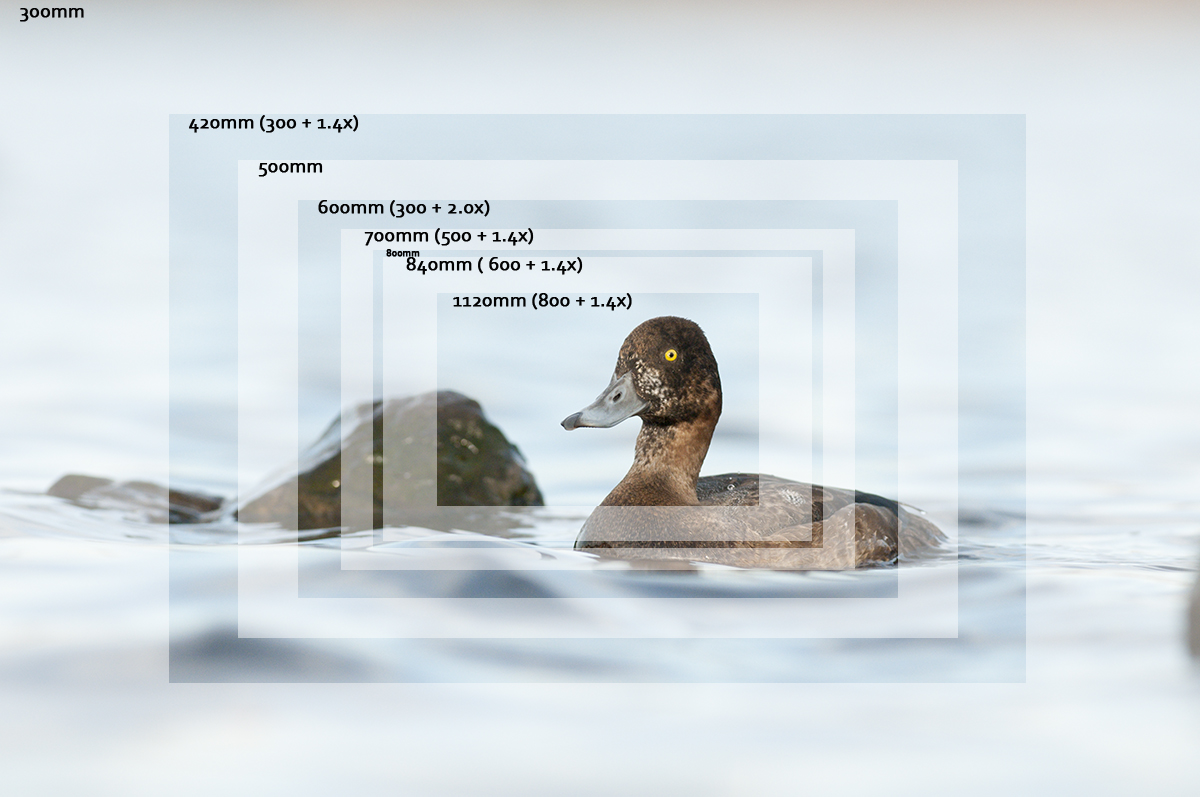 Natural Vision Photography: Focal Length Comparison