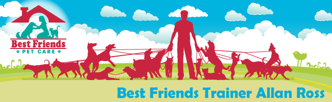 Best Friends Allan Ross