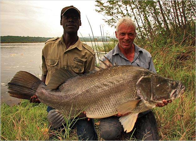 River Monster - Nile Perch | Gambar Menarik