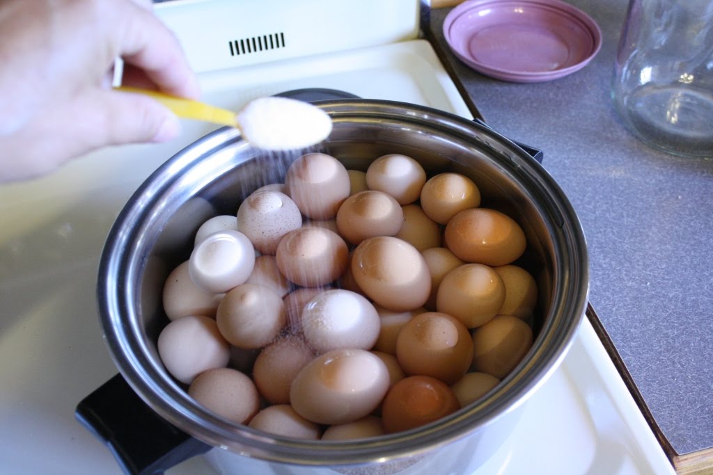 Pickled Eggs - A Redneck Delight?