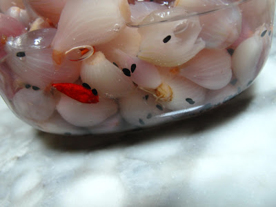 Pickled Baby Red Onions | Journey Kitchen