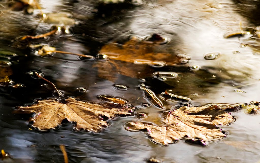 The Gorgeous Princess...: >> MUddY PUddLES