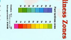 dispatches from zone 3a