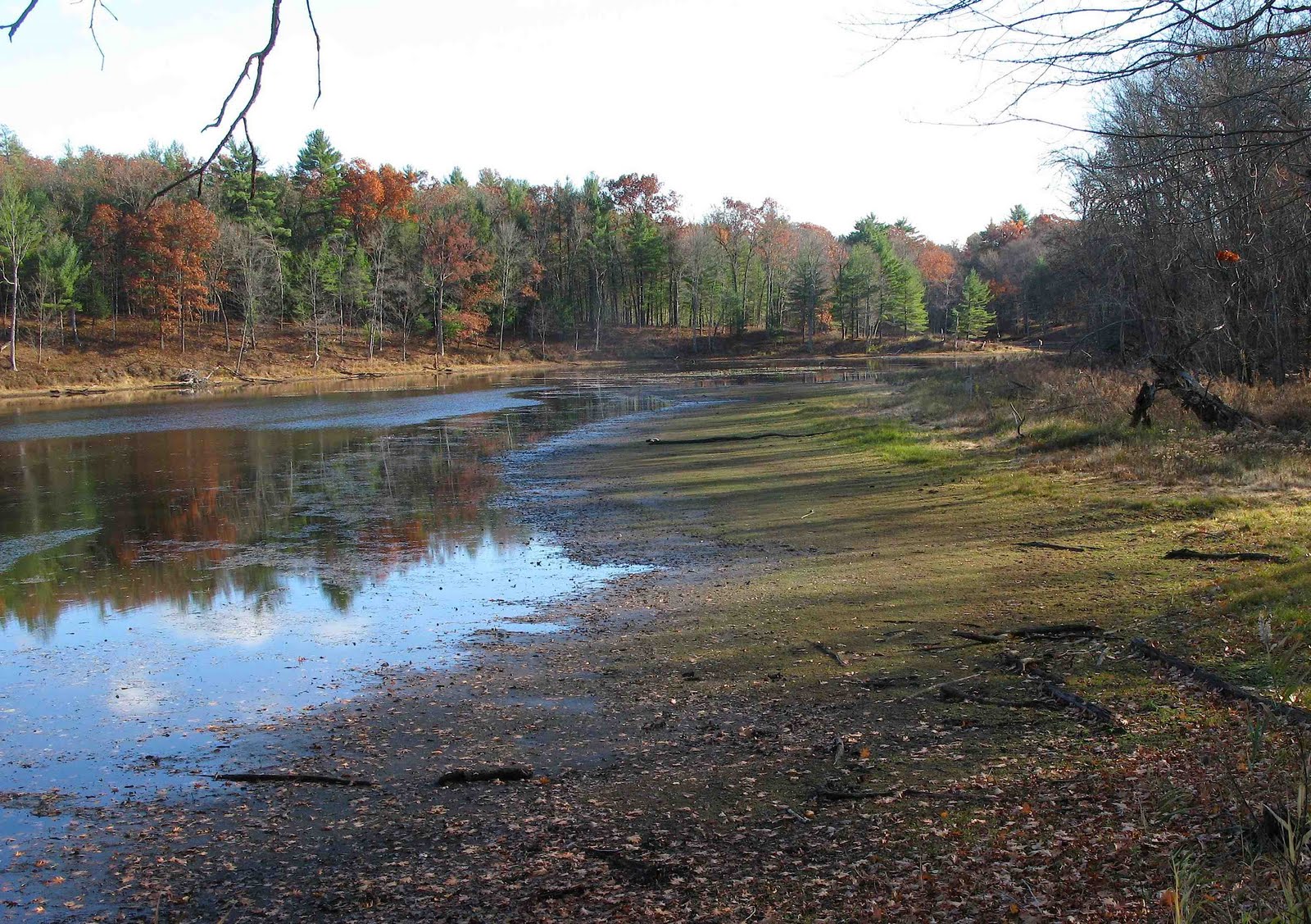 Saratoga woods and waterways: Mud Pond is Mighty Muddy