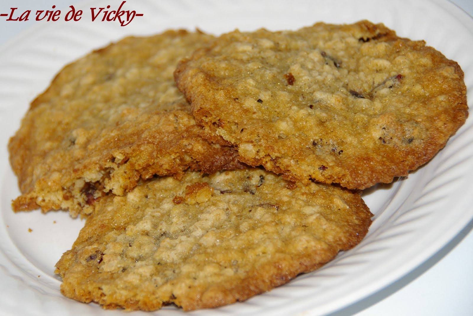 Ma petite vie!: Biscuits à l'avoine et aux canneberges