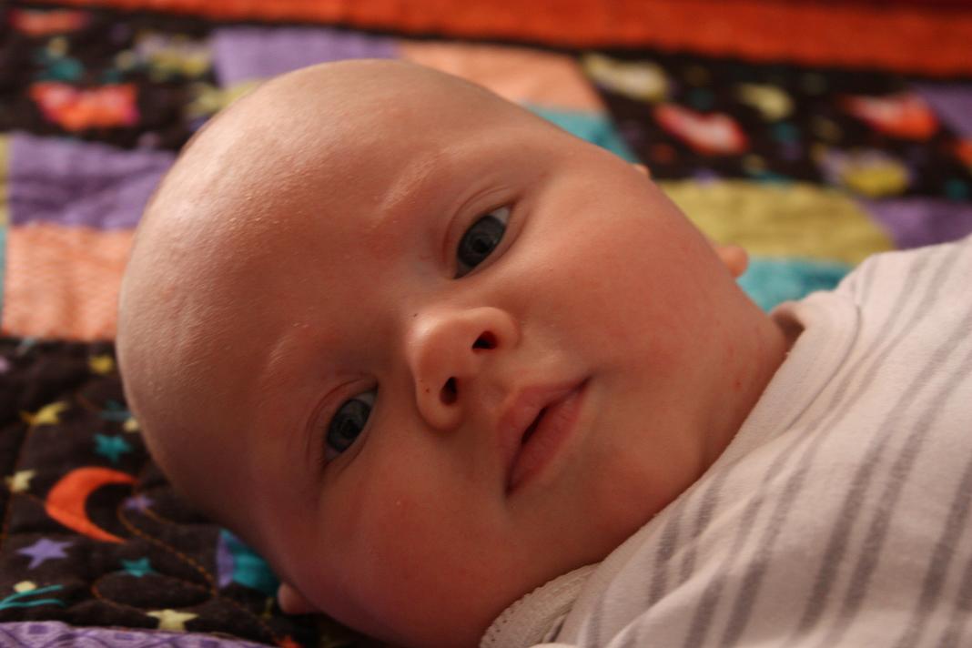 Snickerdoodle Creations: 10 Weeks Old!