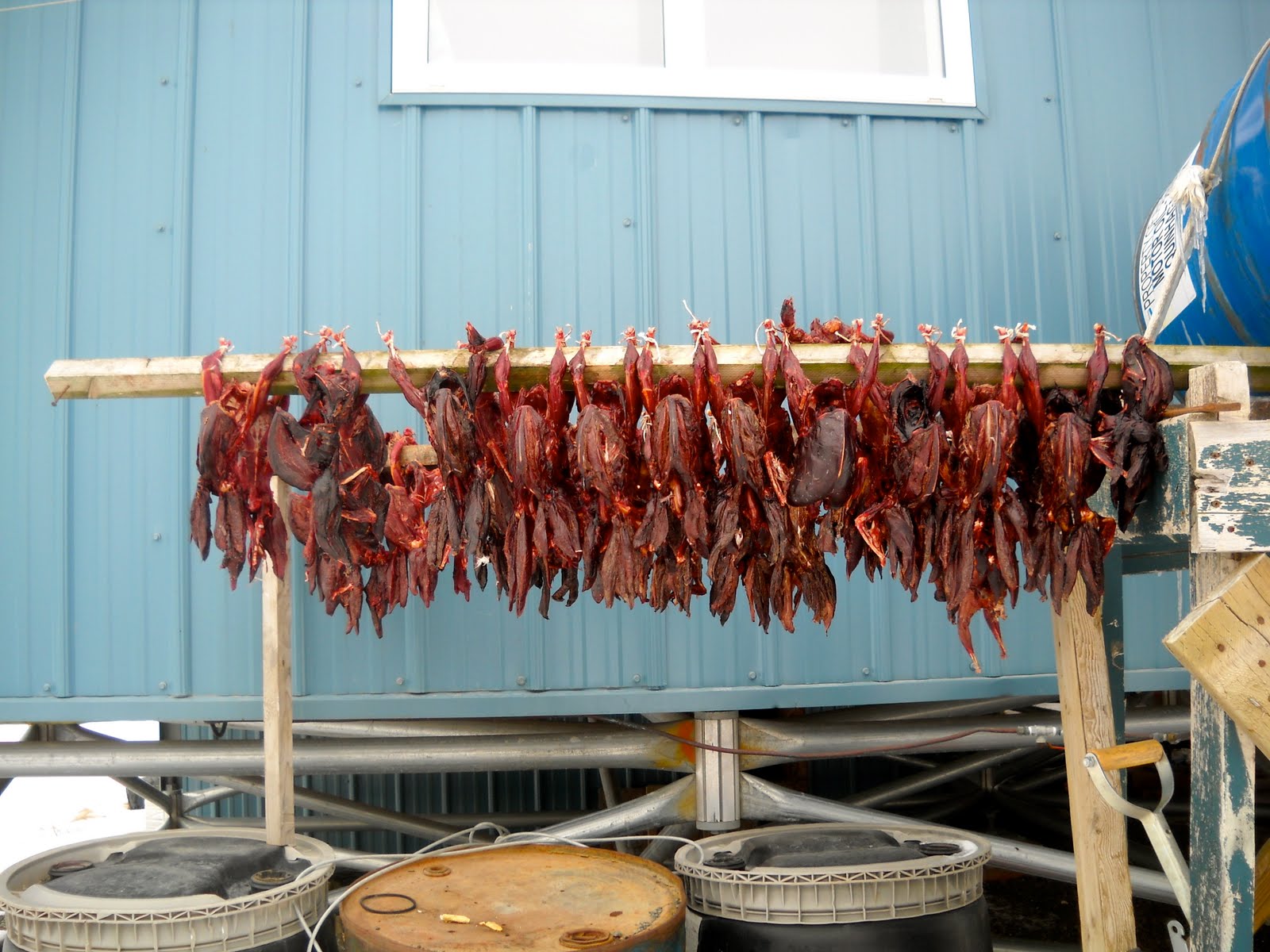 Alaska At Last: The Art Of Subsistence Living