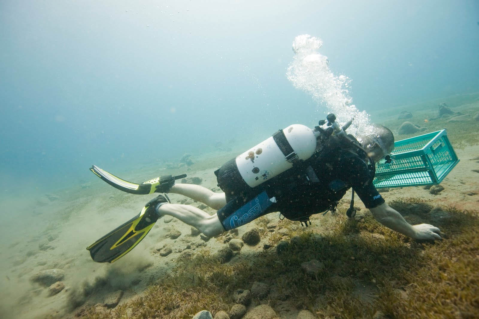 Mission Gouyer: Technique : les sondages
