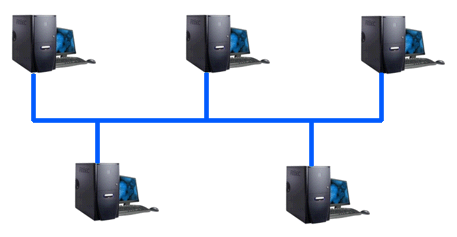 Networking Schooling: Network Topologies