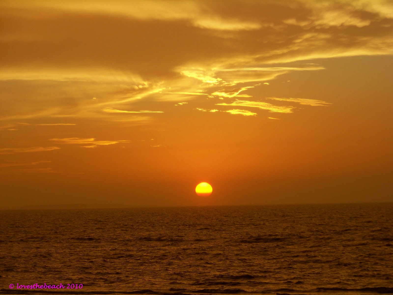 Sea Palm Treasures: Golden Morning