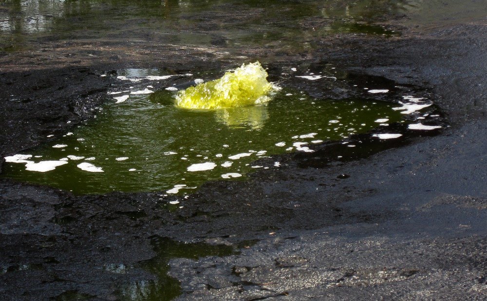 Life on the Open Road: La Brea Tar Pits