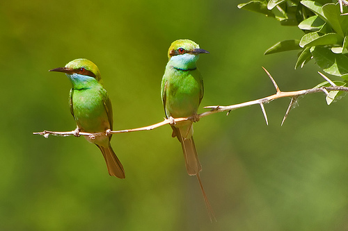 Posted by khubaib Abbasi On 4:18 PM 8 comments