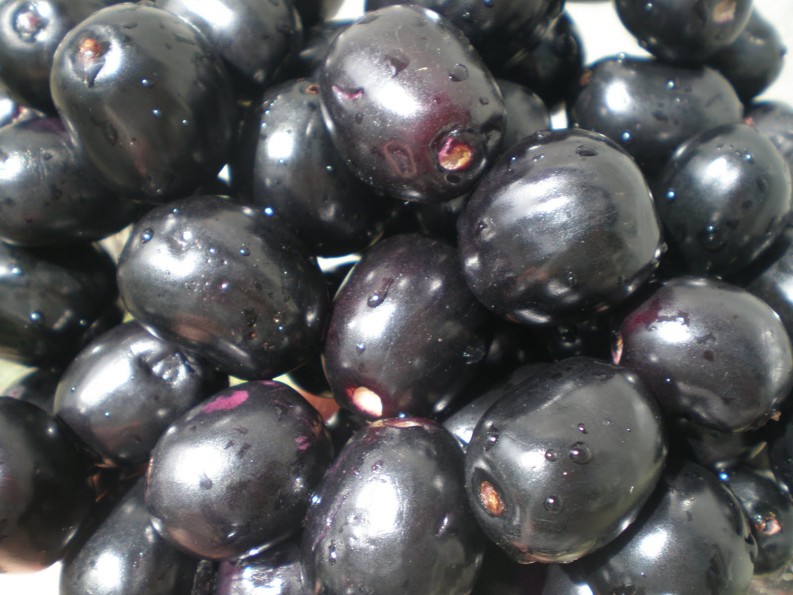 Duhat fruits | YOUR SWEETNESS | Pinterest