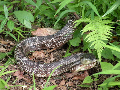 Much Ado About Nothing: ~Back from vacation!!!!~