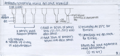 BloodBank.MedMic.Haematology: SIP