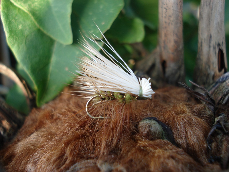 Tatú Moscas - Fly Fishing: elk hair caddis... os cabelos do alce!