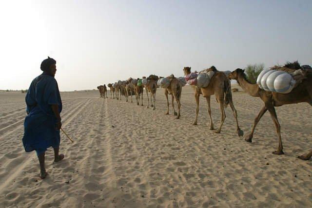 Suitcase and World: Salt of the earth.