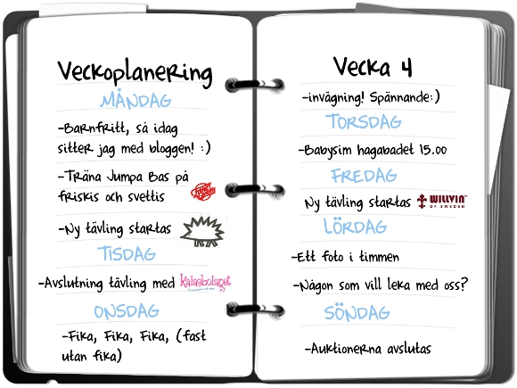 Mitt nya liv: Veckoplanering vecka 4