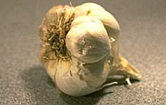 The Daily Tiffin: Superfoods: The Allium Family