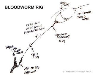 Fishing Time: THE ALL IMPORTANT BAIT FOR FISHING