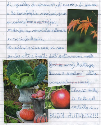 La scuola in cartella: NEL CESTELLO DELL'AUTUNNO COSA TROVO?