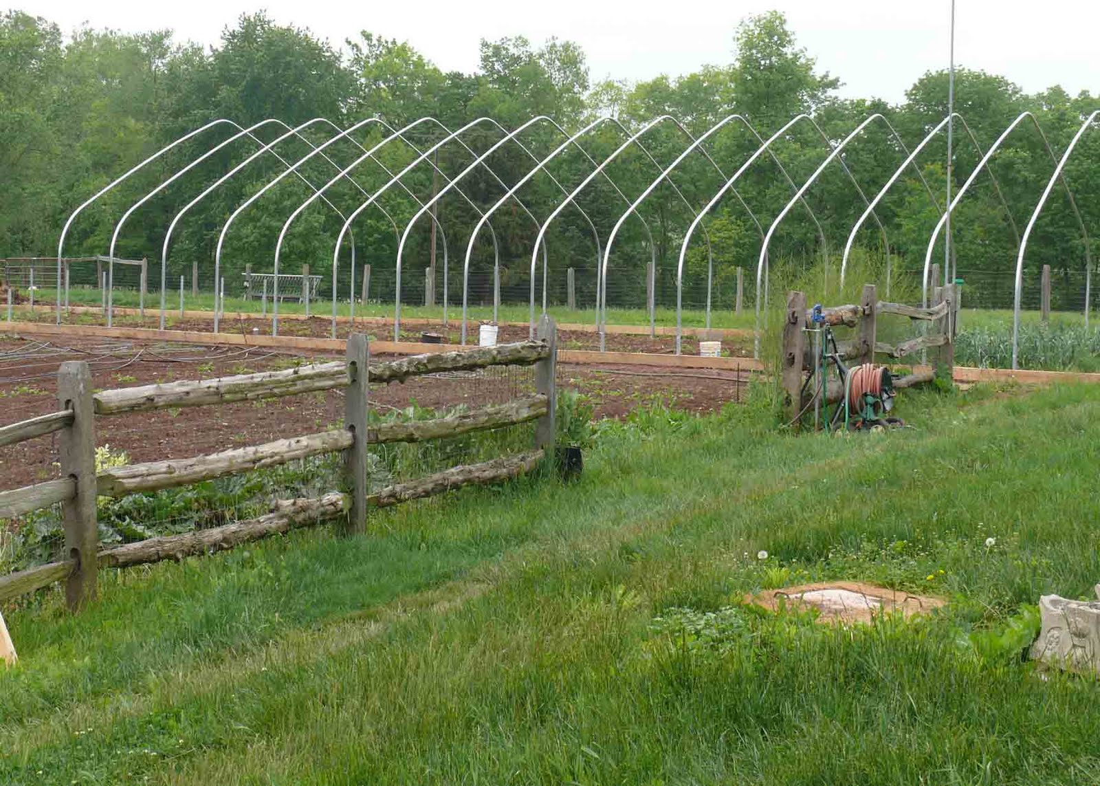 Whitmore Farm: HOOP house heaven! (or why cold greenhouses are COOL!)