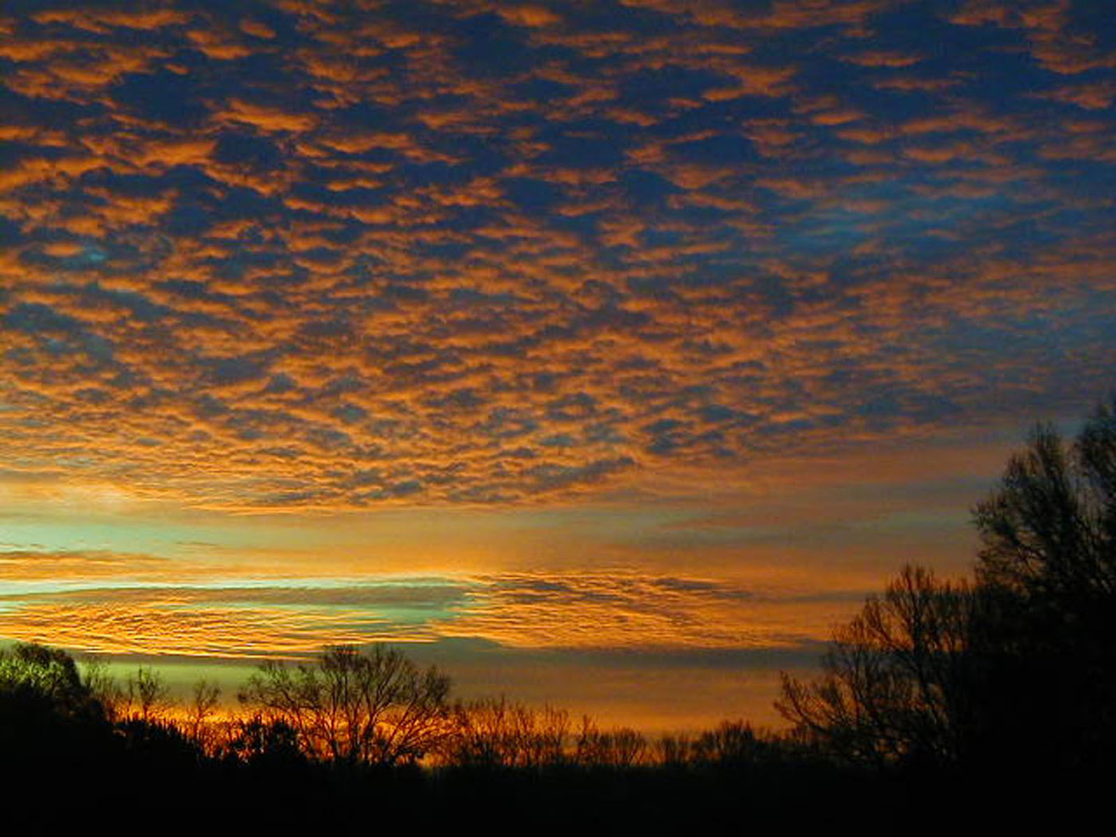 Southern Lagniappe: All Things Bright and Beautiful