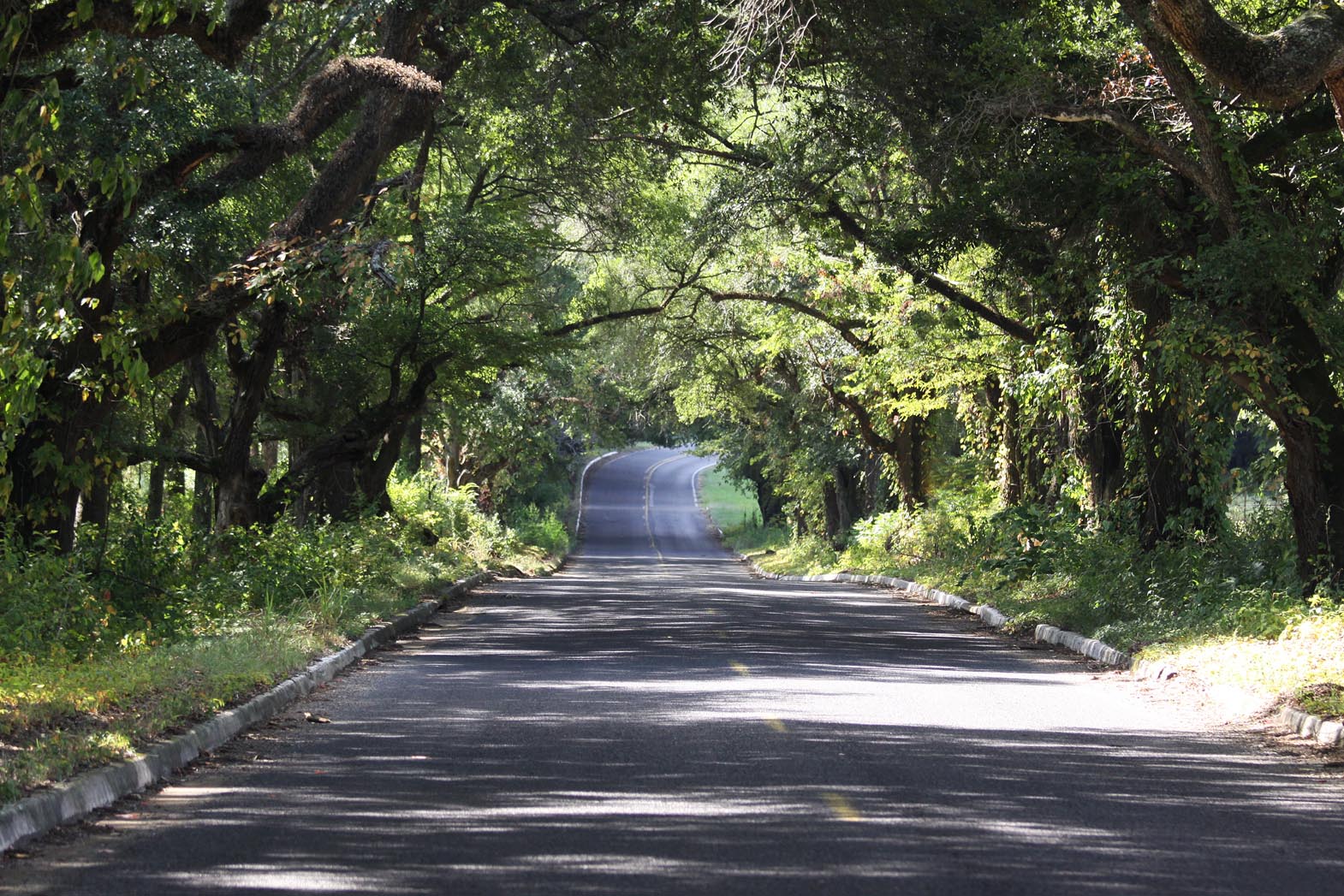 Anticipate Your Blessings | More than Useless