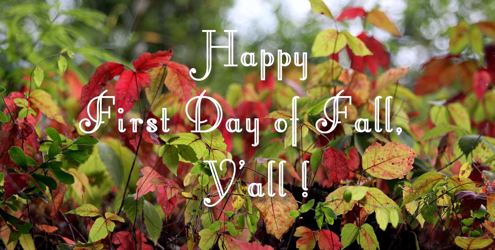 Southern Lagniappe: First Day of Fall