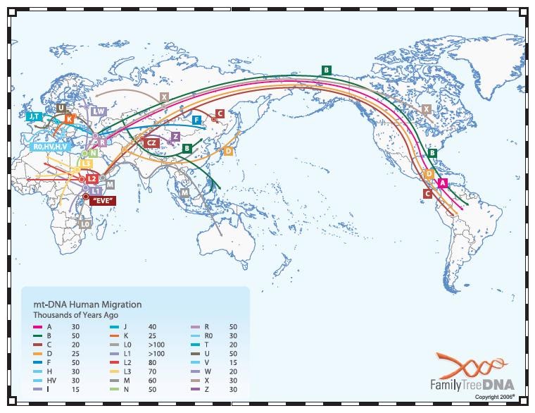 Liffengren DNA: Maps Maternal mtDNA Origins and Migration