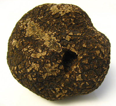 Fresh Local and Best: HOW TO CHOOSE A BLACK TRUFFLE