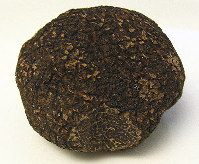 Fresh Local and Best: HOW TO CHOOSE A BLACK TRUFFLE