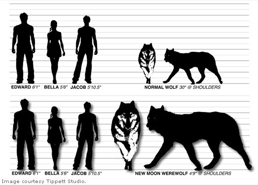 Pink Paws Movement: How the CGI Wolves Were Made