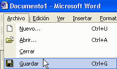 Microsoft Word