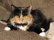 My Minivan Memoirs: Happy Birthday, Jesus!