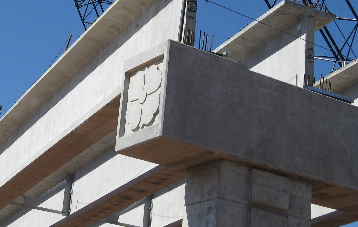 Tri-Ex Progress Photos