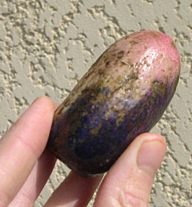 Alimentation crue originelle: Manger cru: le safou