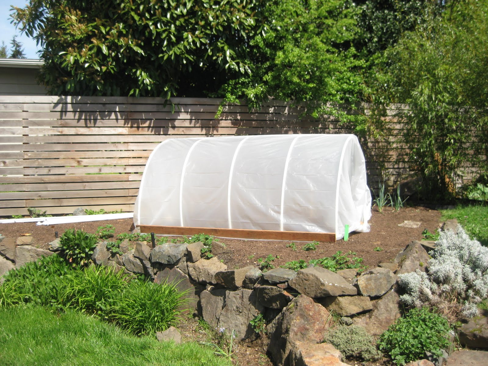 THE URBAN GARDENER: Extend Your Season: Build A Cloche