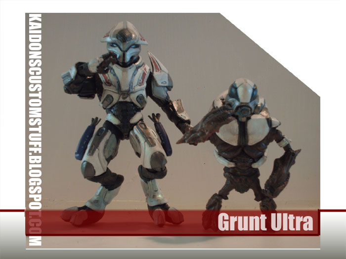 Kaidon's Custom Stuff: Grunt Ultra