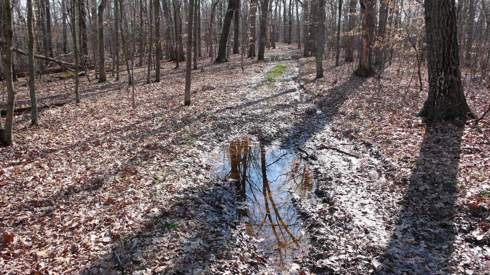 The Ozark Trail Guide: Fun on the Courtois Creek Section and at Bass ...