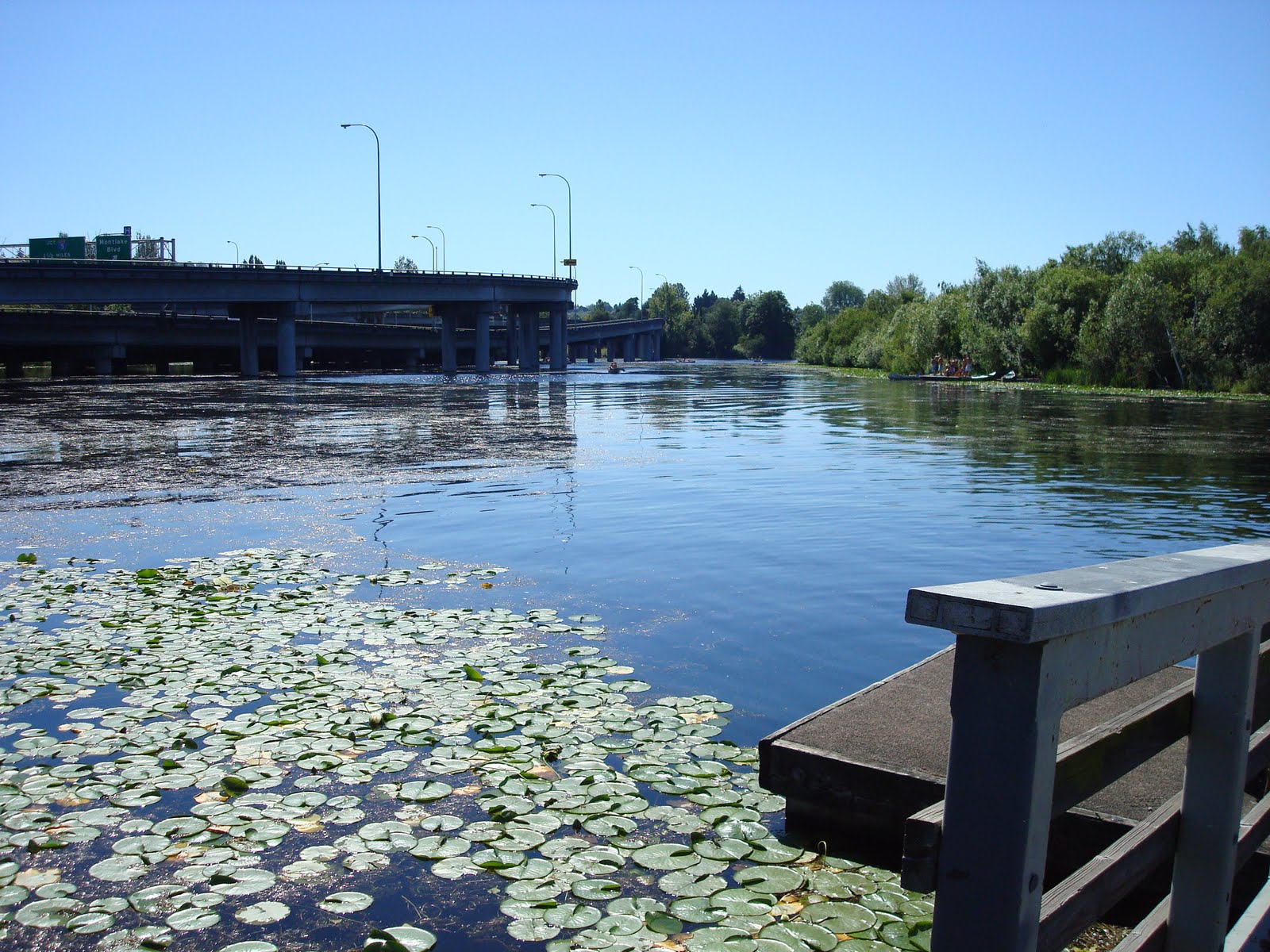 Things to do in Seattle: Arboretum Waterfront Trail - Free