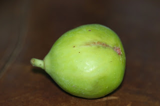 Powell Gardens' Blog: Figs for Greater Kansas City?