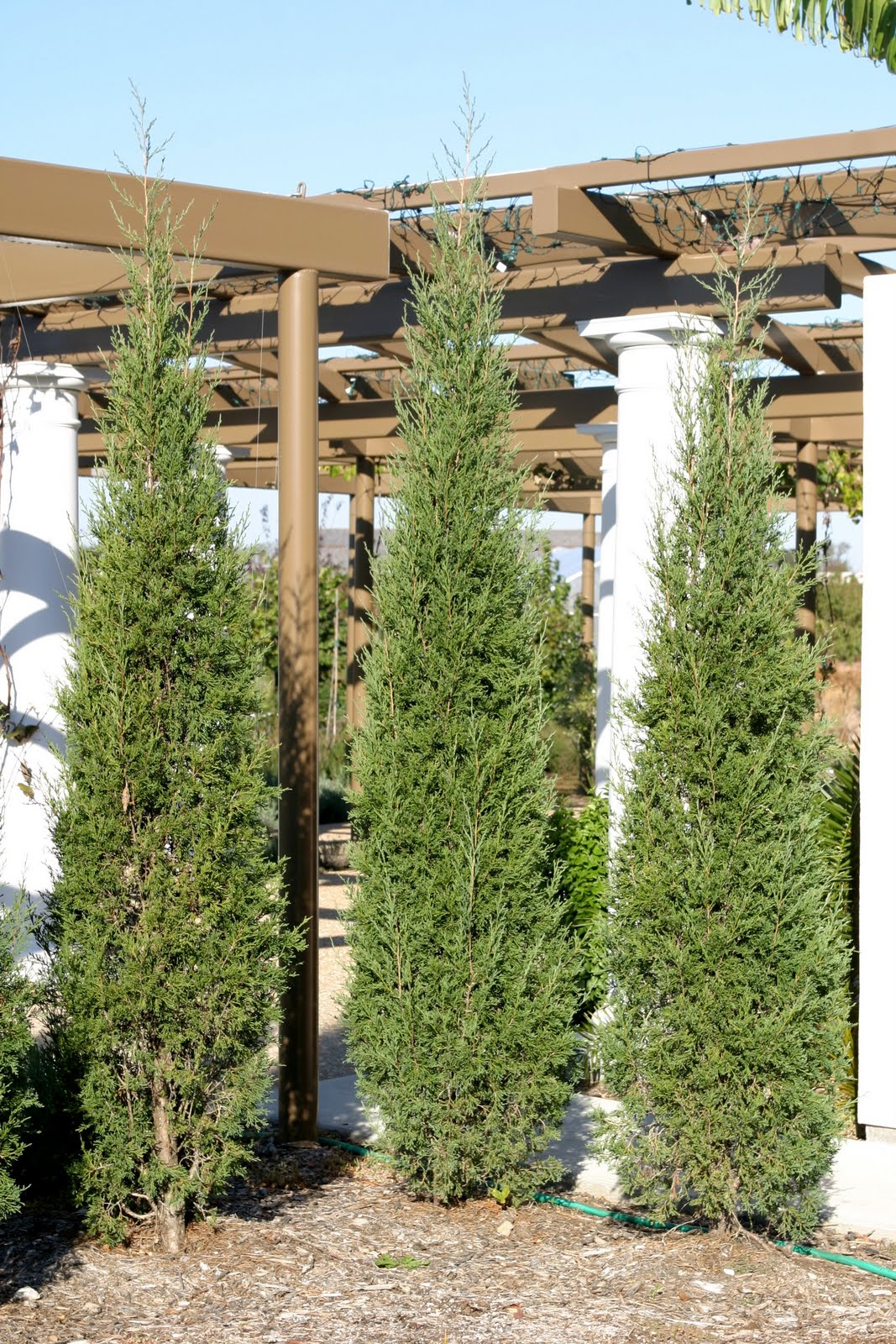 Powell Gardens' Blog: October Plants of the Heartland Harvest Garden