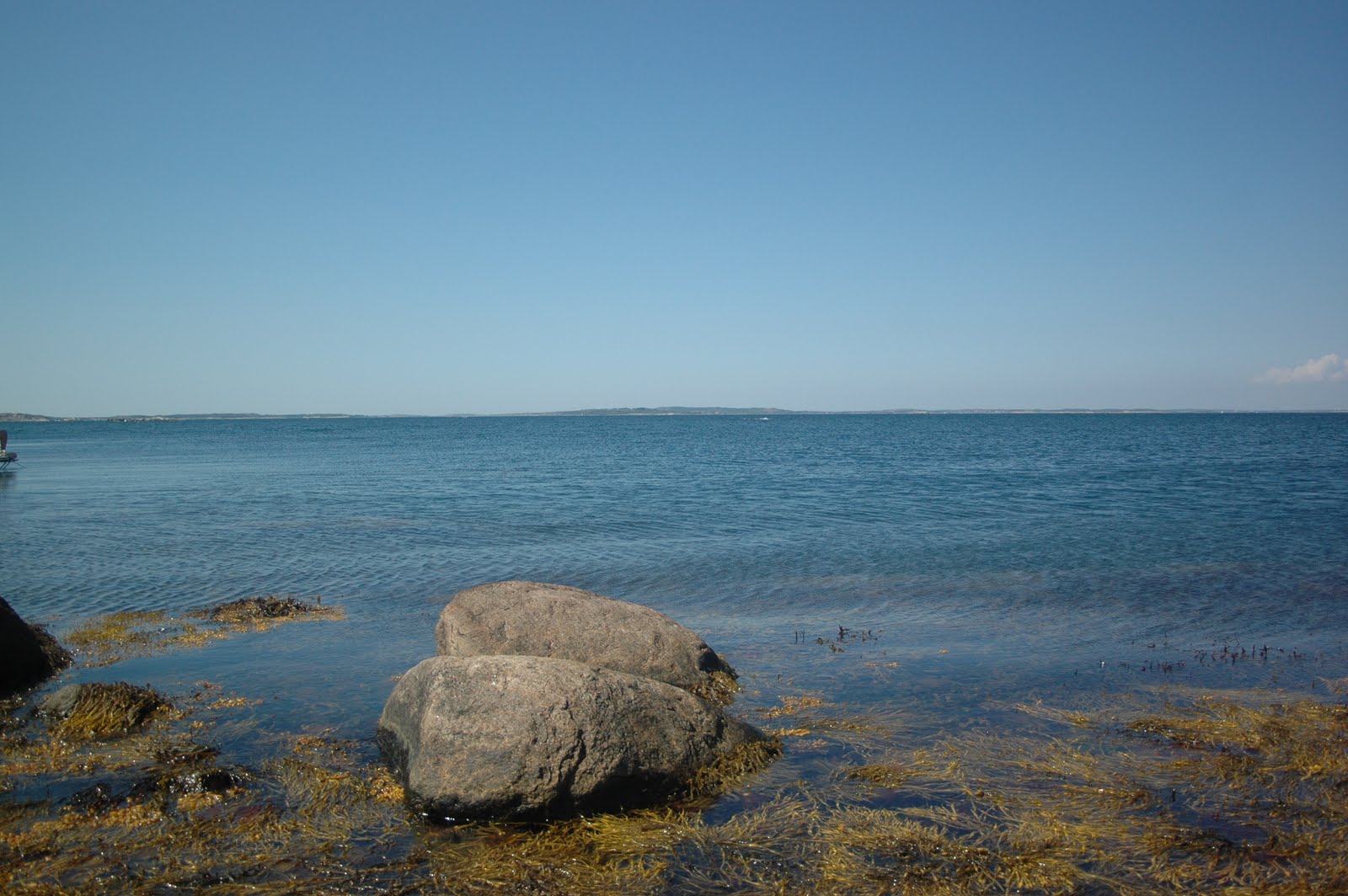 Blog Archives - aquasoftware