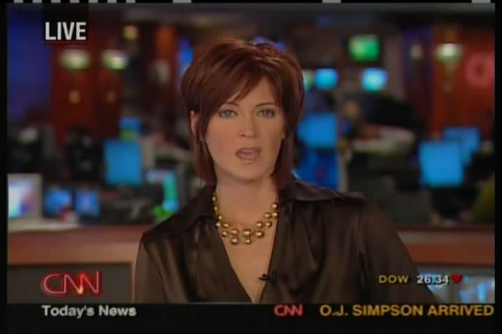 Ladies in Satin Blouses: heidi collins - brown satin blouse