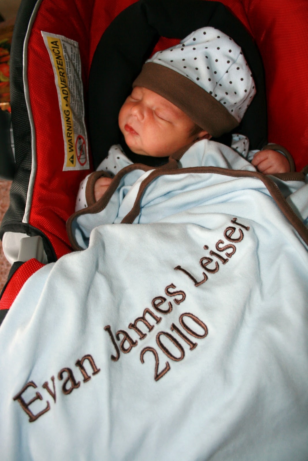 Jersey Girl in the Kitchen: Our Miraculous Masterpiece: Evan James Leiser