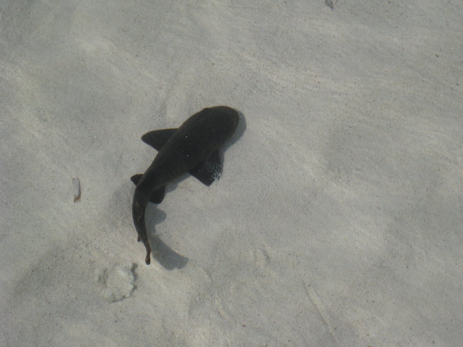 Sharon and Stephen's Adventures