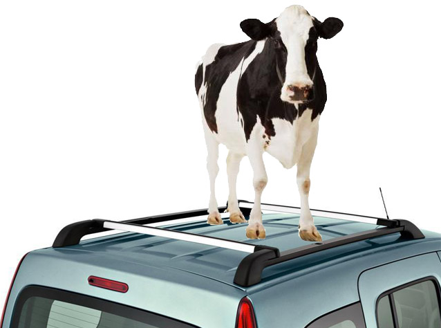 Saber es de balde: La división entre cero de la lengua castellana