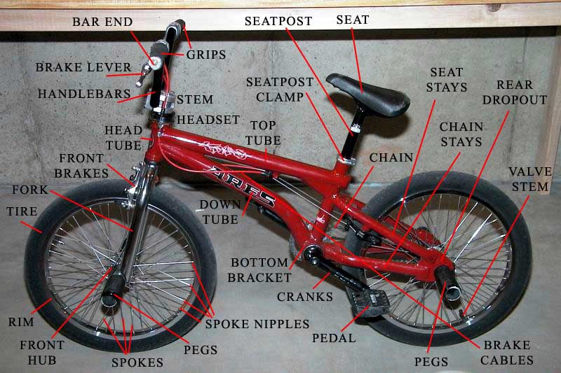 bmx52ride: bike anatomy